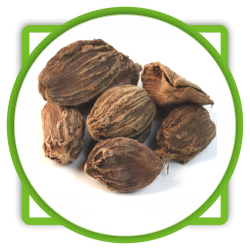 काळी-वेलदोडा एकरी उत्पादन काळी-वेलदोडा लागवड तंत्रज्ञान - Agrowone